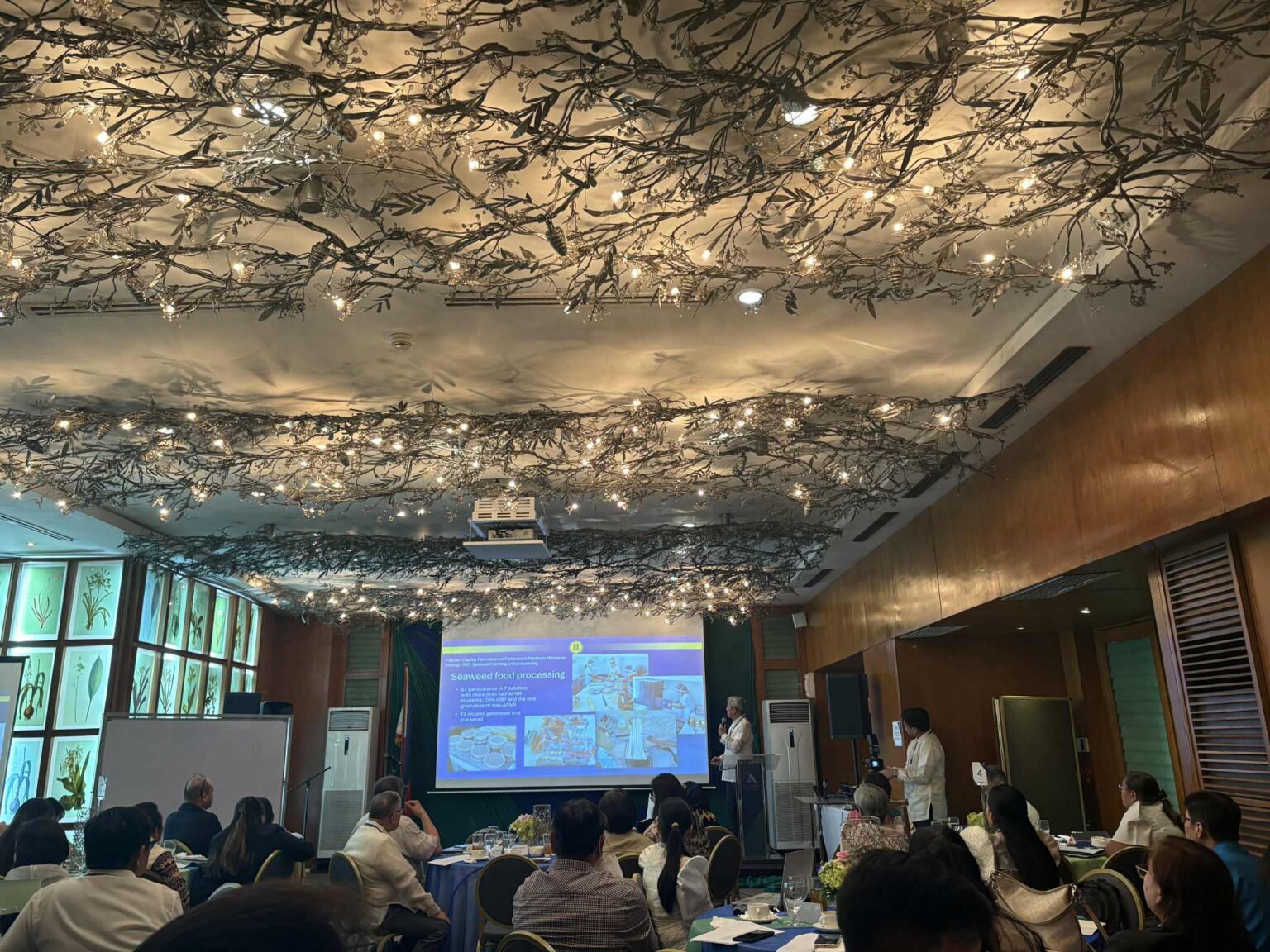 MSU at Naawan Showcase Breakthrough Research at Seaweed and Seagrass ...